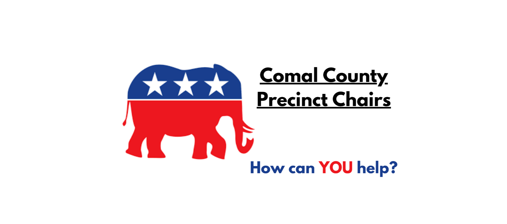Precinct Chairs - New Braunfels Conservatives